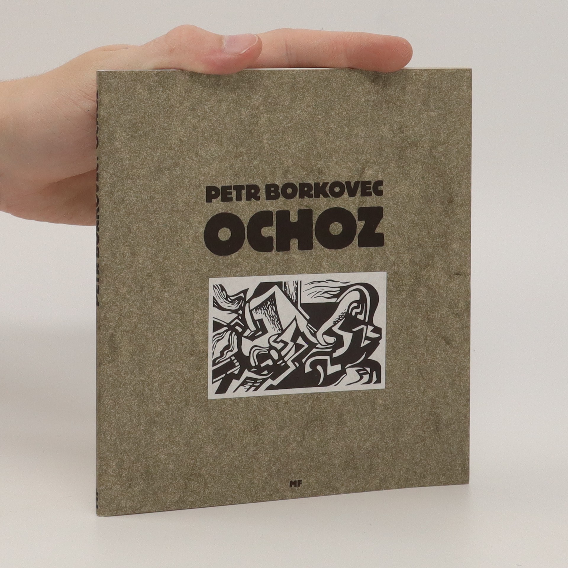 Ochoz - Borkovec, Petr - knihobot.sk