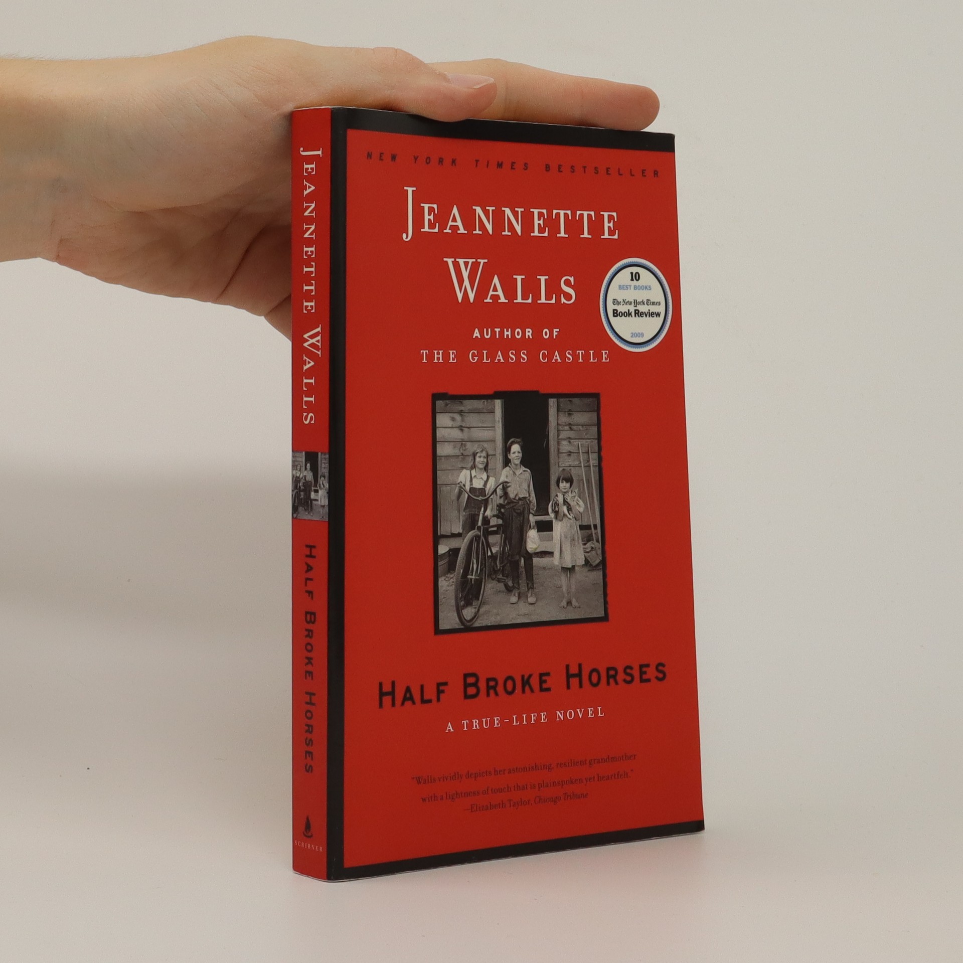 Half Broke Horses - Walls, Jeannette - knihobot.cz