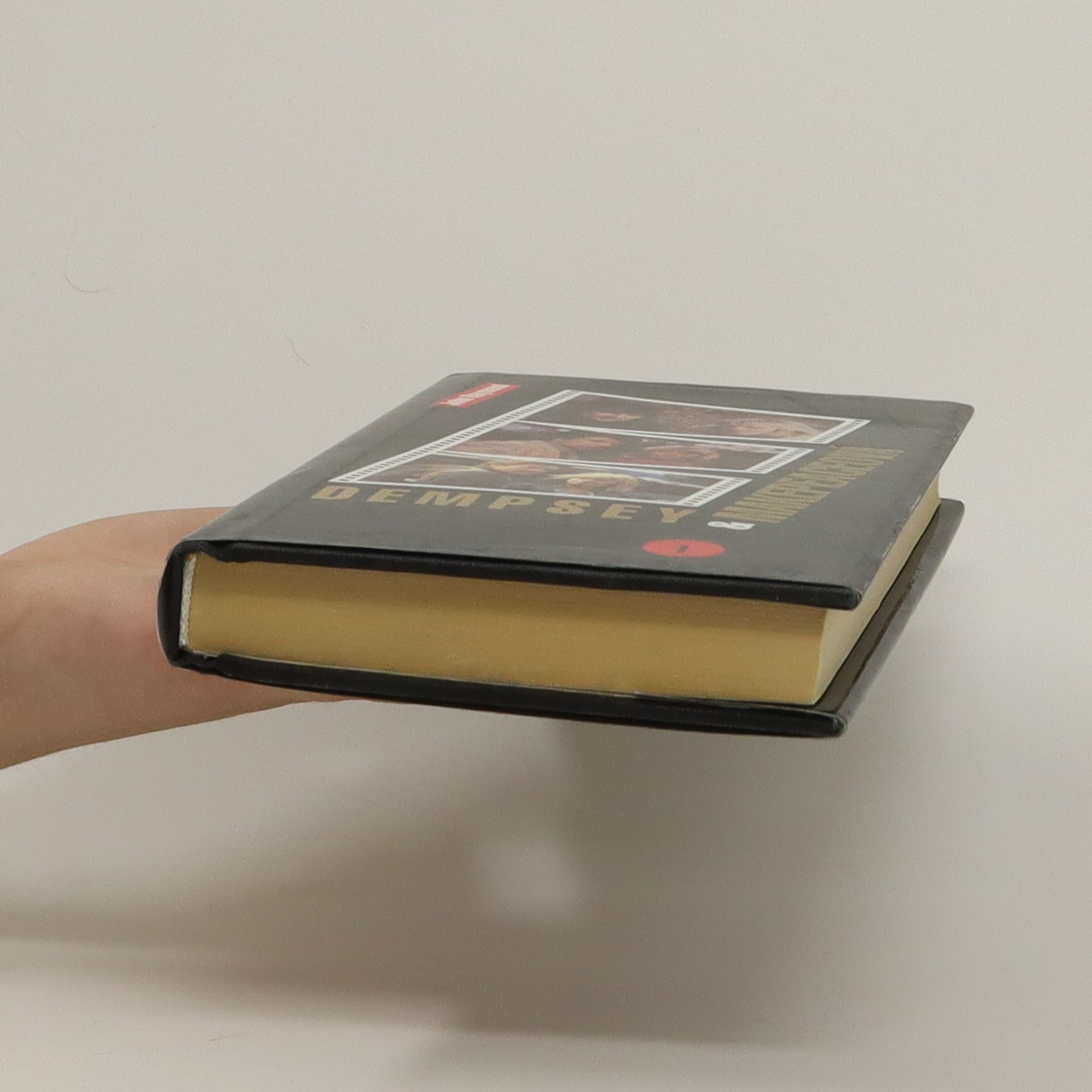 Dempsy & Makepeaceová - Raymond, John - knihobot.cz