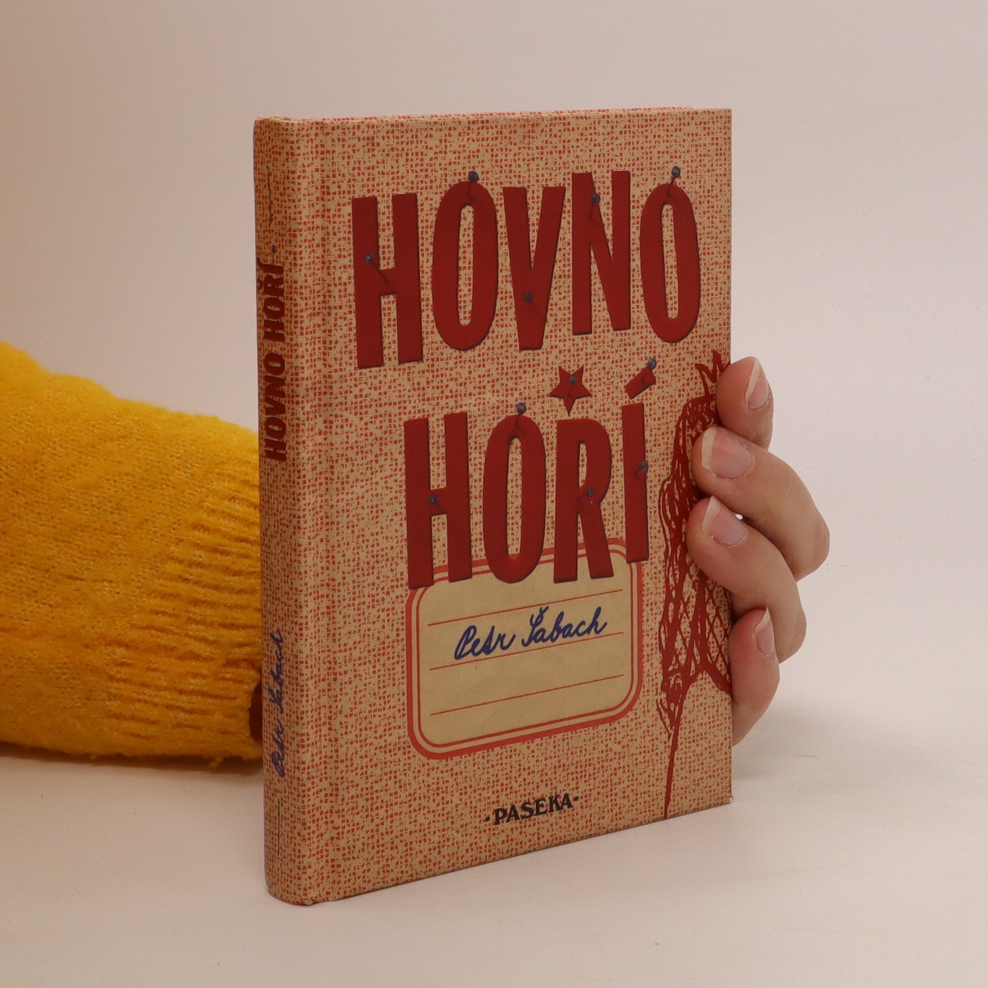 Hovno hoří - Šabach, Petr - knihobot.cz