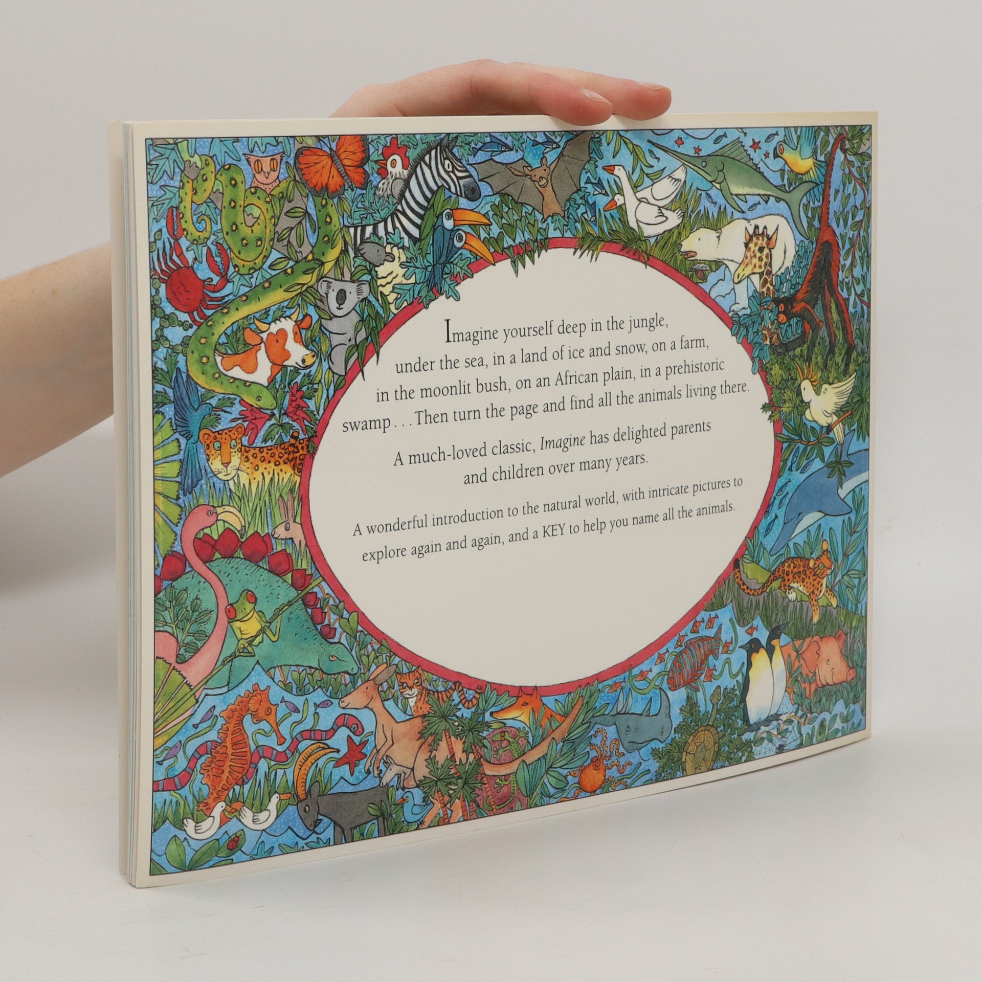 Imagine - Lester, Alison - knihobot.cz