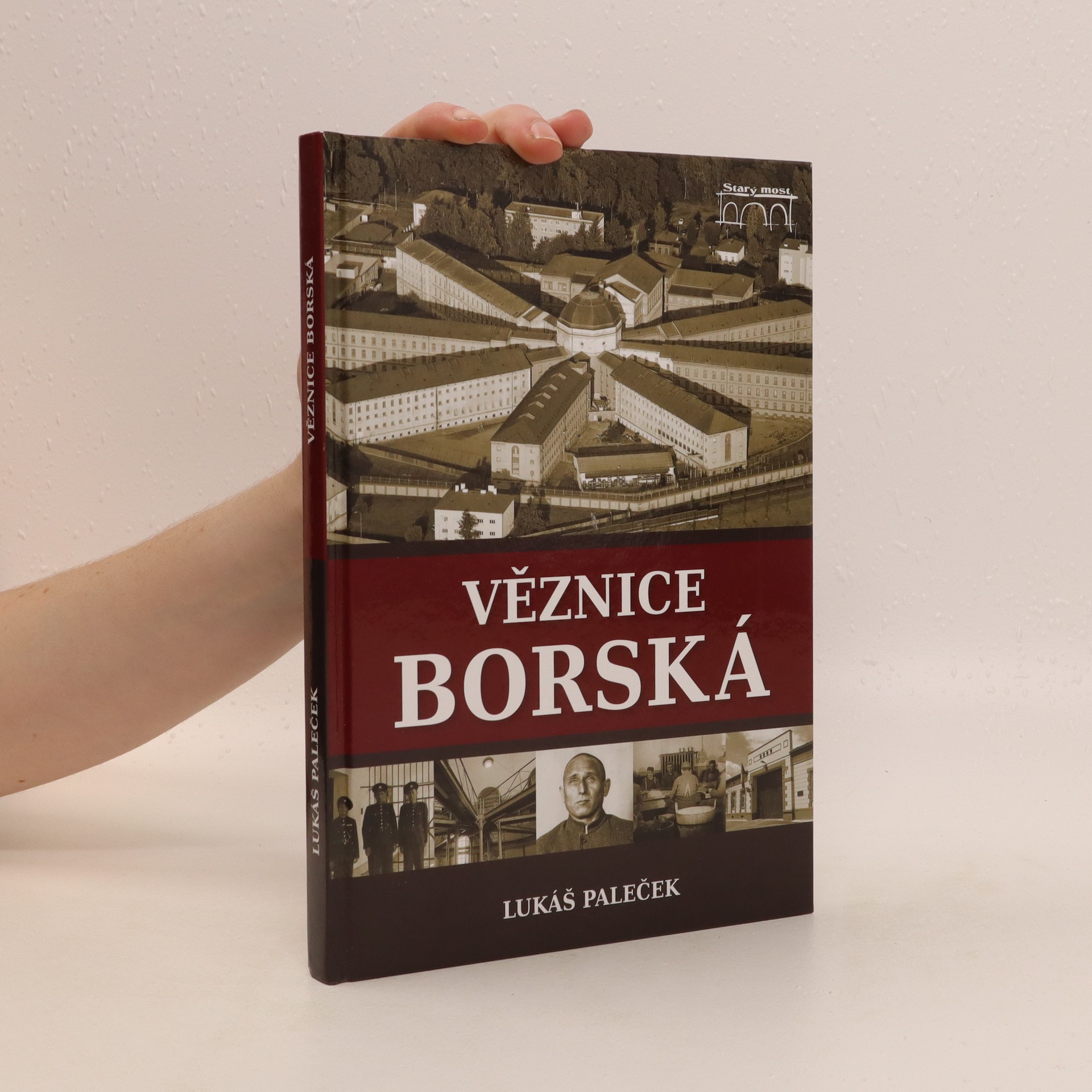 Věznice borská - Paleček, Lukáš - knihobot.cz