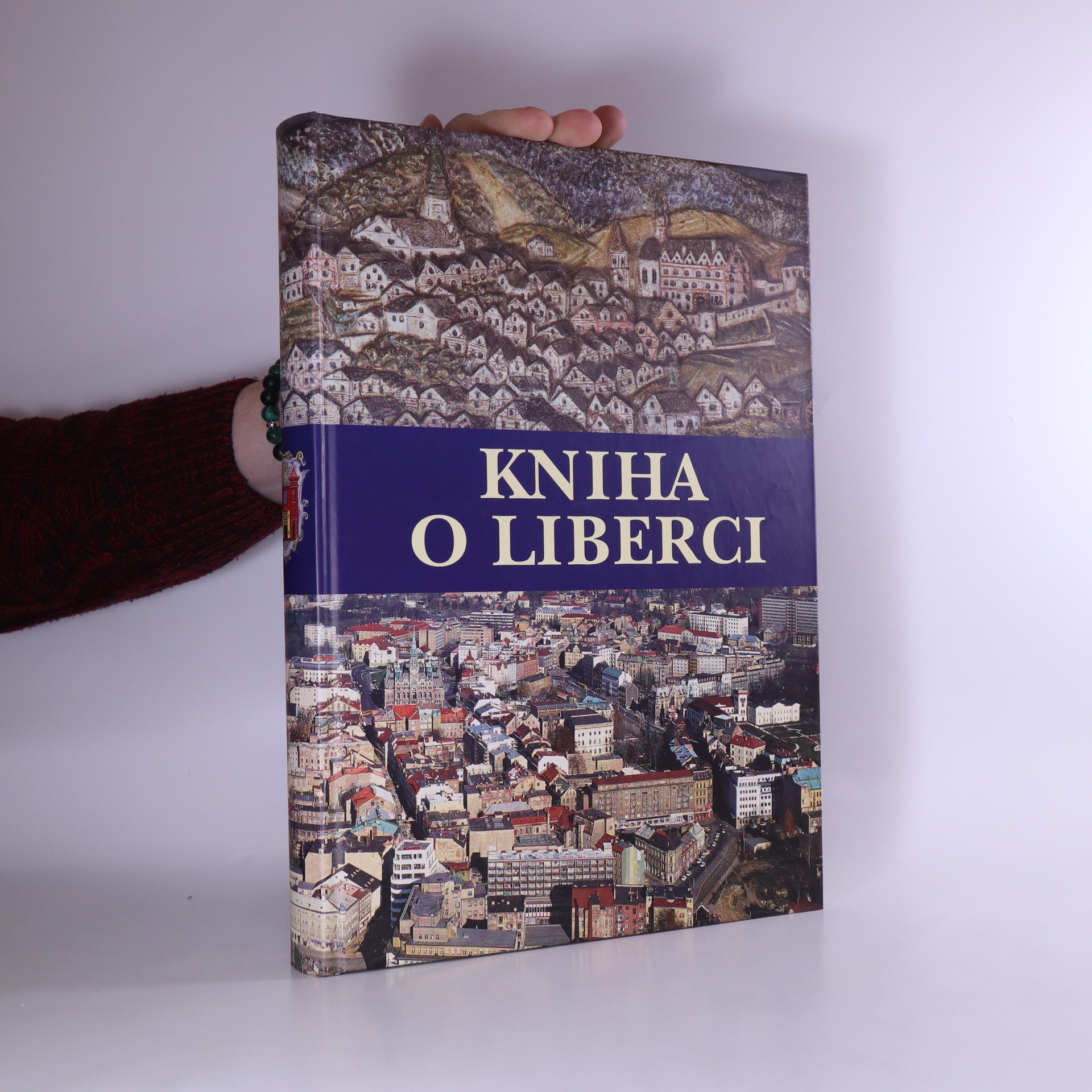 Kniha o Liberci - kolektiv - knihobot.cz