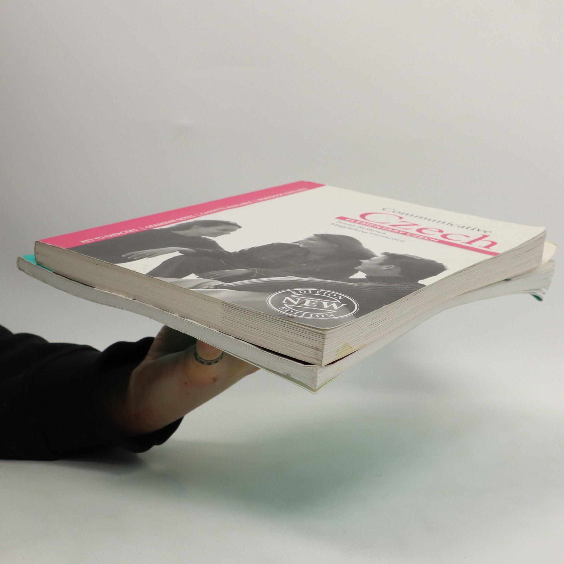 Communicative Czech : elementary Czech. Textbook + Workbook (2 svazky ...