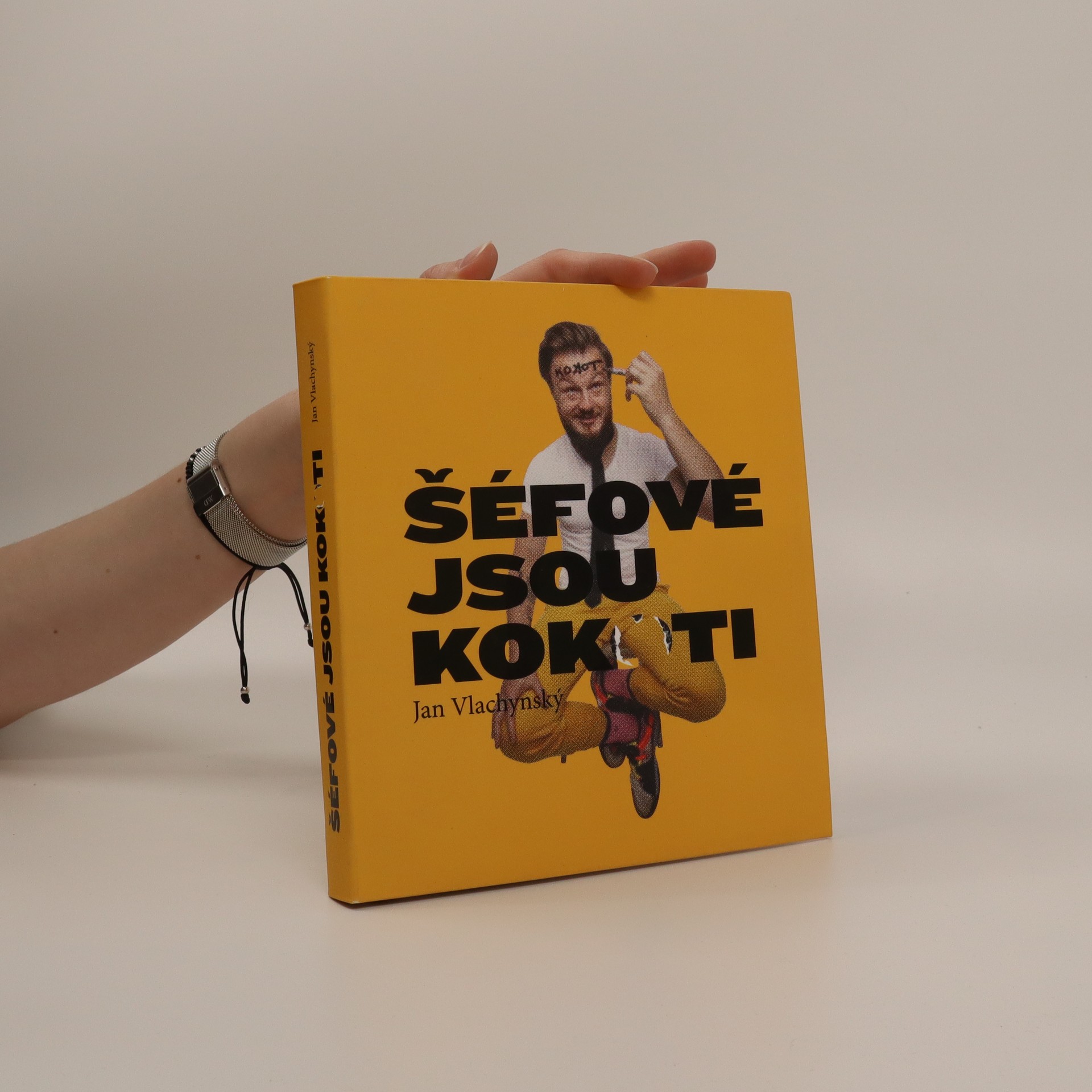 Šéfové jsou kokoti - Vlachynský, Jan - knihobot.cz