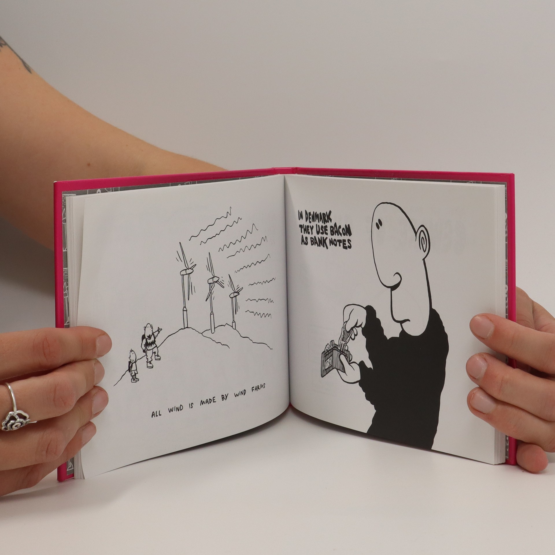 Great lies to tell small kids - Riley, Andy - knihobot.sk