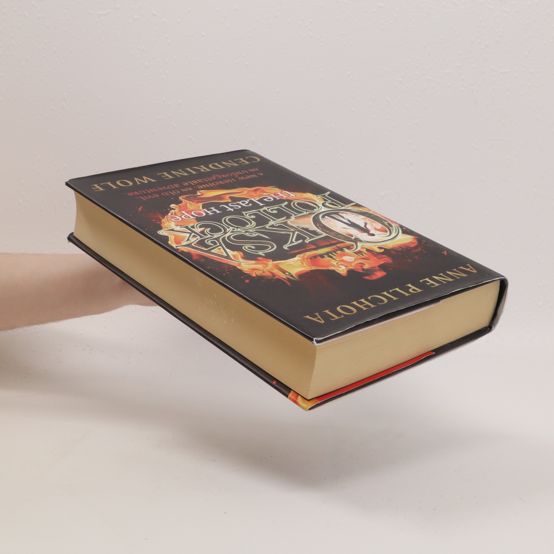 Oksa Pollock : the last hope - Plichota, Anne - knihobot.cz