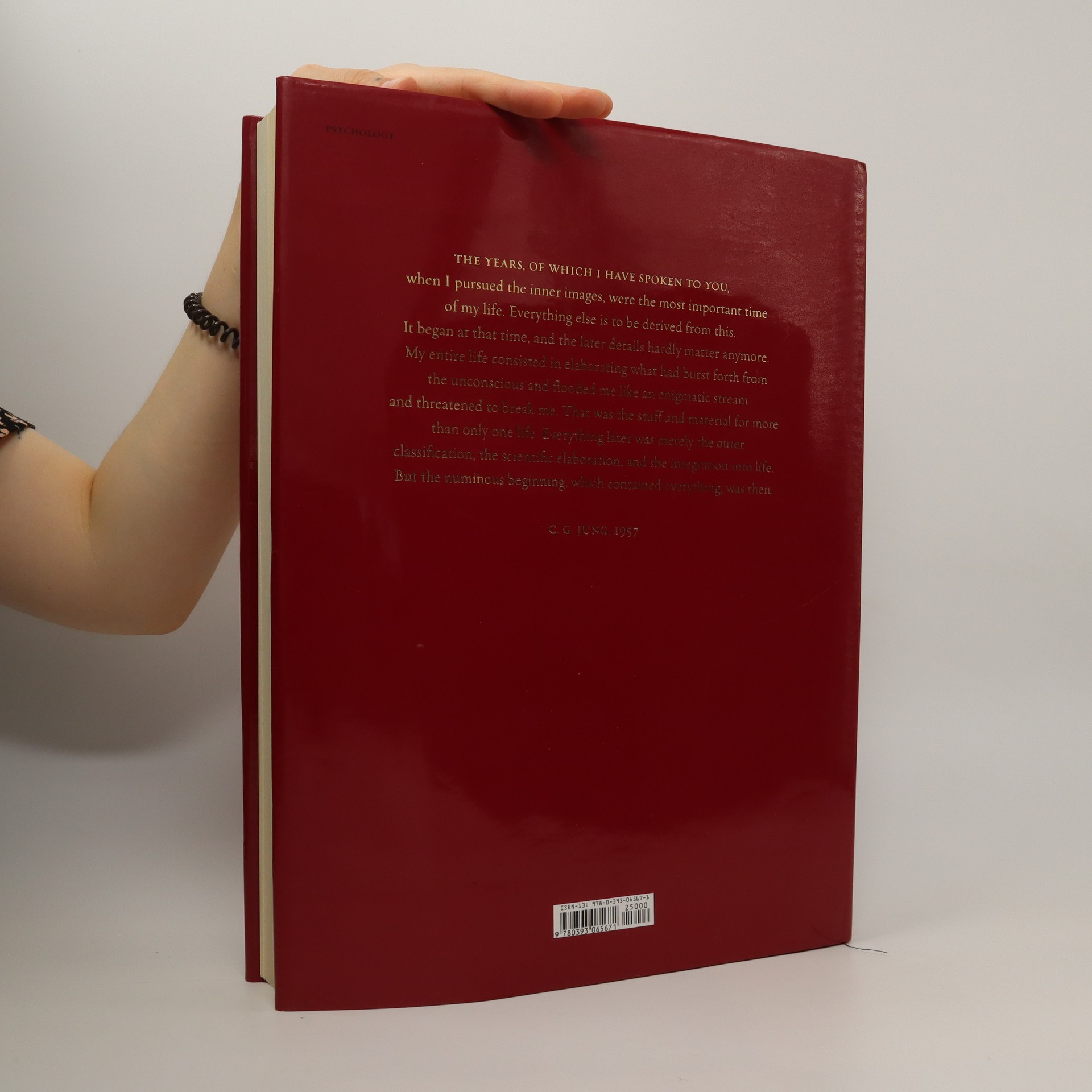 The Red Book. Liber novus - Jung, Carl Gustav - knihobot.sk