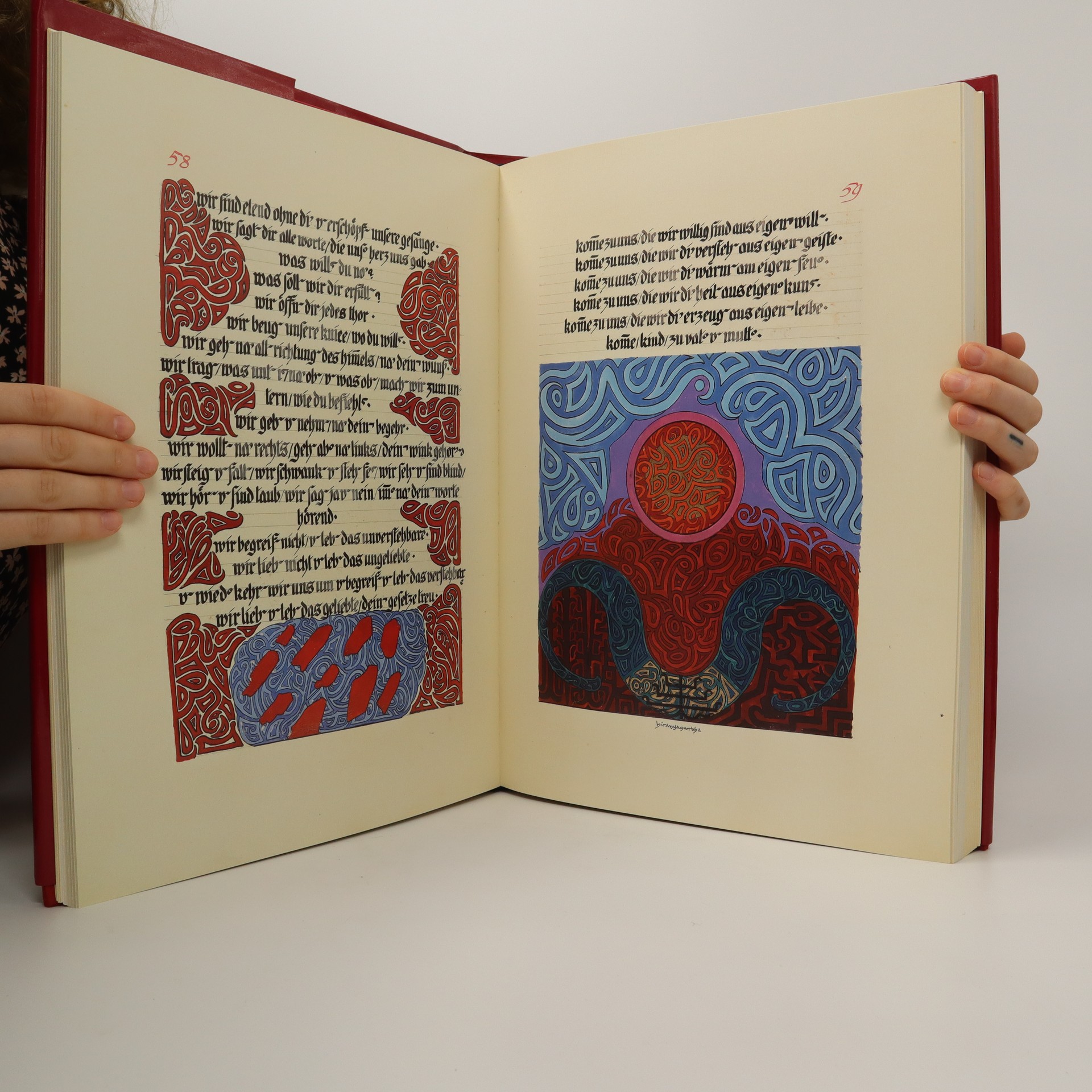 The Red Book. Liber novus - Jung, Carl Gustav - knihobot.sk