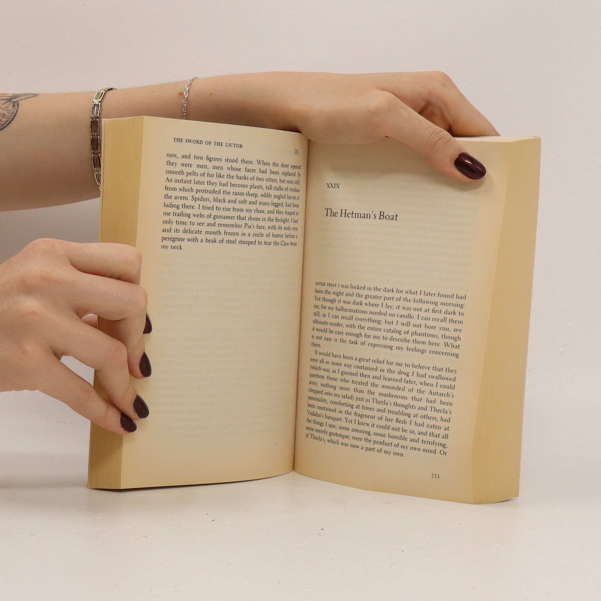 Sword and Citadel - Wolfe, Gene - knihobot.cz